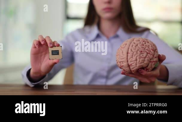 Brain anatomy comparison Stock Videos & Footage - HD and 4K Video Clips ...