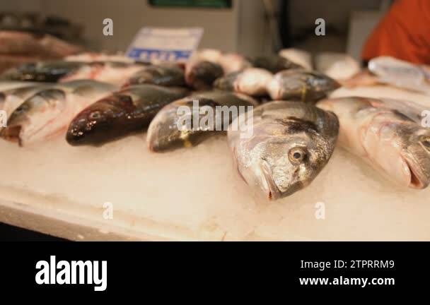 Close up view of fresh selling fishes in traditional raw city fish ...