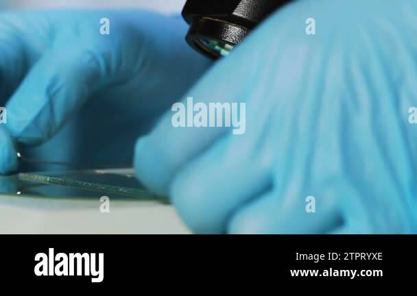 Microscope magnifies view of glass slide, food quality control ...