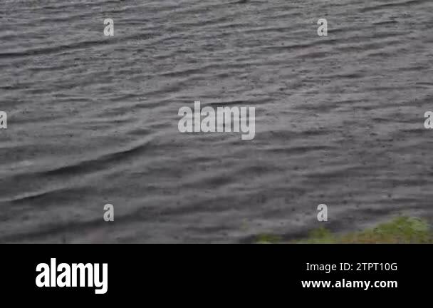 Rain swollen rivers Stock Videos & Footage - HD and 4K Video Clips - Alamy
