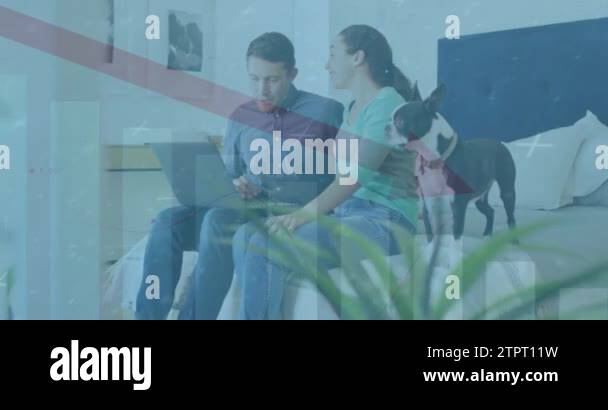 Dog arrow Stock Videos & Footage - HD and 4K Video Clips - Alamy