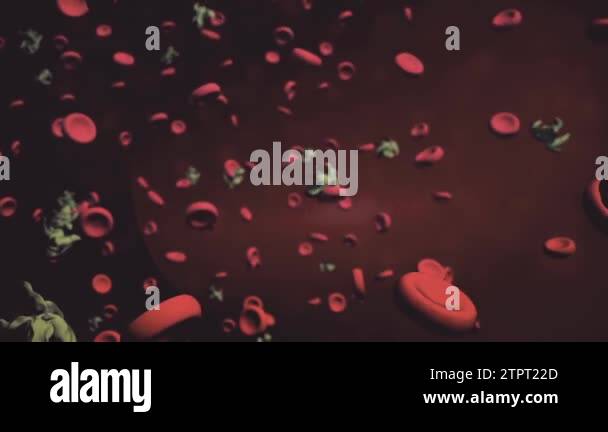 Virus Attacks Red Blood Cells inside human blood vessel. Animation of ...