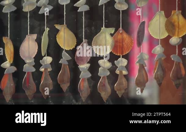 Seashell background Stock Videos & Footage - HD and 4K Video Clips - Alamy