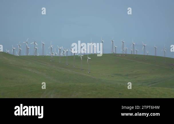 William blades Stock Videos & Footage - HD and 4K Video Clips - Alamy
