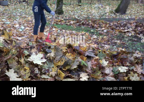 Woman removing boots Stock Videos & Footage - HD and 4K Video Clips - Alamy