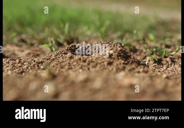 Ground provision Stock Videos & Footage - HD and 4K Video Clips - Alamy