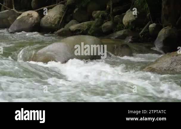 Dynamic contrast Stock Videos & Footage - HD and 4K Video Clips - Alamy