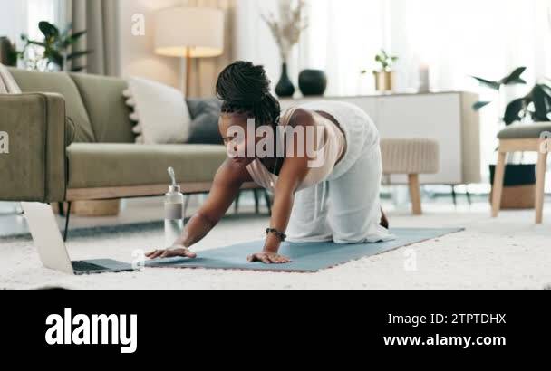 Balance cat pose Stock Videos & Footage - HD and 4K Video Clips - Alamy