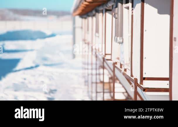 Farmer cage Stock Videos & Footage - HD and 4K Video Clips - Alamy