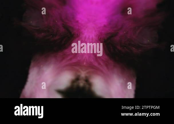 Paint water splash. Glitter mist. Blur neon magenta pink black color ...