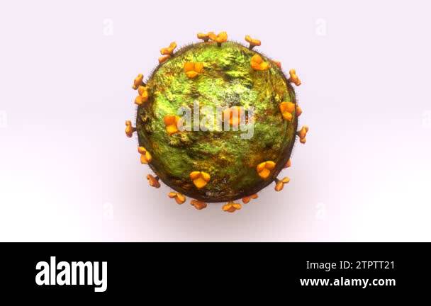 Hiv anatomy Stock Videos & Footage - HD and 4K Video Clips - Alamy