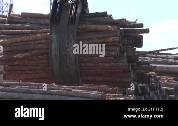 Firewood logging Stock Videos & Footage - HD and 4K Video Clips - Alamy