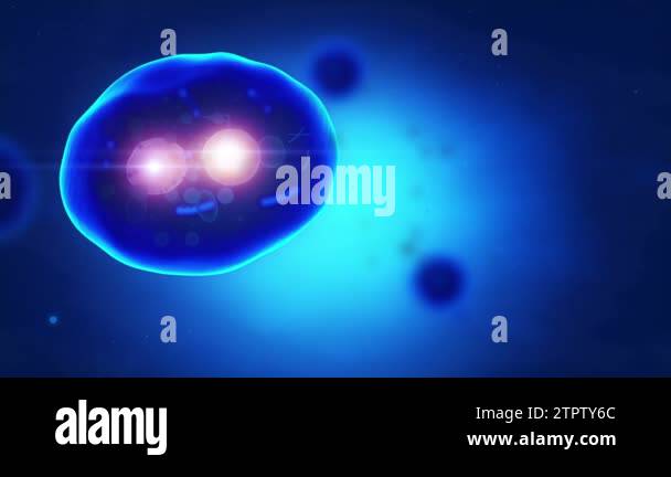 Ribosomes cell Stock Videos & Footage - HD and 4K Video Clips - Alamy