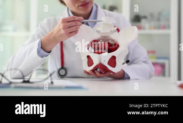 Anatomy of pelvic joint and details explained by doctor. Problem and ...