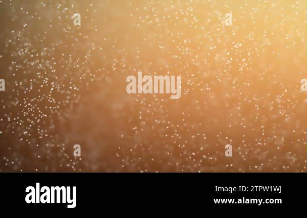 Gold Particles. Natural Floating Organic Particles On beatiful ...