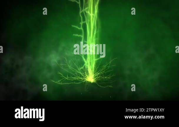 Green flash Stock Videos & Footage - HD and 4K Video Clips - Alamy