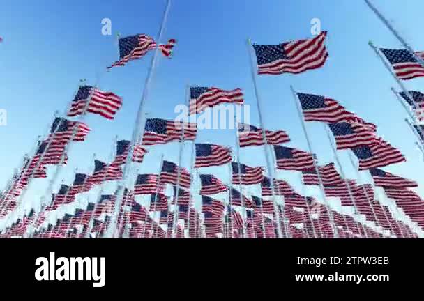 Many flags of USA on flagpoles against blue sky. Three dimensional ...