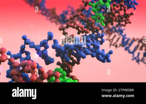 Model dna molecule dna sequencing Stock Videos & Footage - HD and 4K ...