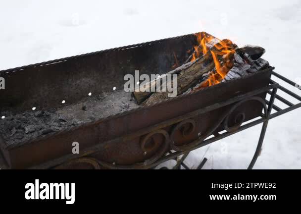 Wildlife charcoal Stock Videos & Footage - HD and 4K Video Clips - Alamy