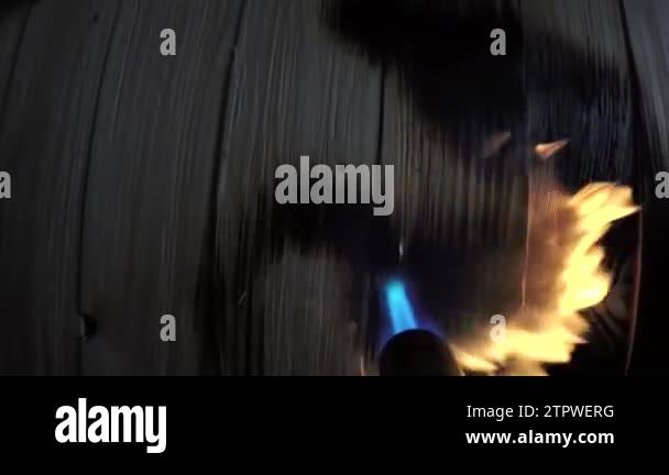 Torch the tree Stock Videos & Footage - HD and 4K Video Clips - Alamy