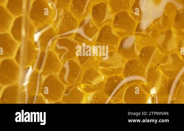 Raw honeycombs with pouring pure golden honey elixir. Amazing tasty ...