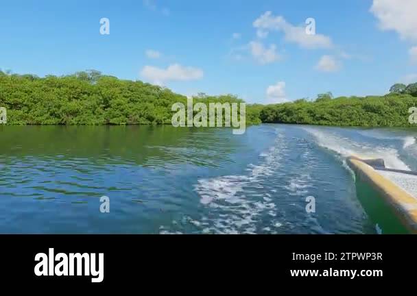 Back view boat Stock Videos & Footage - HD and 4K Video Clips - Alamy