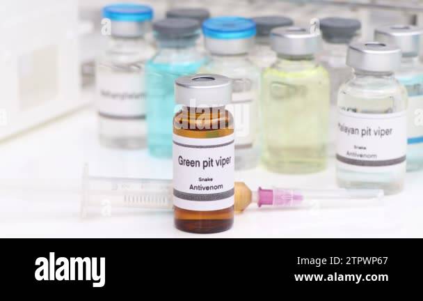 Green pit viper, Snake antivenoms in a vial, Serum for injection to ...