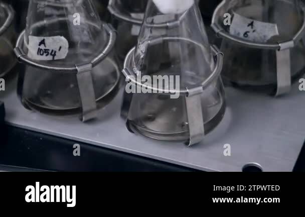 Lab bottles shaking liquid tissue microbial culture at shaker ...