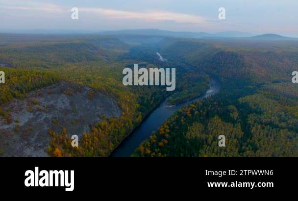 Aerial View. Flying over the beautiful sunny forest trees of the Bikin ...