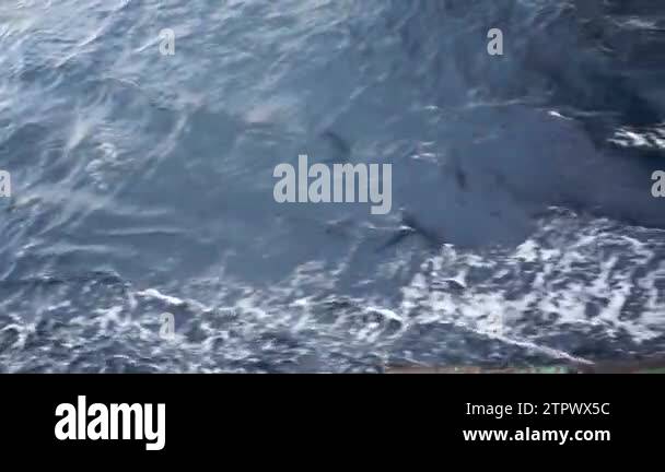 Strait of bali Stock Videos & Footage - HD and 4K Video Clips - Alamy