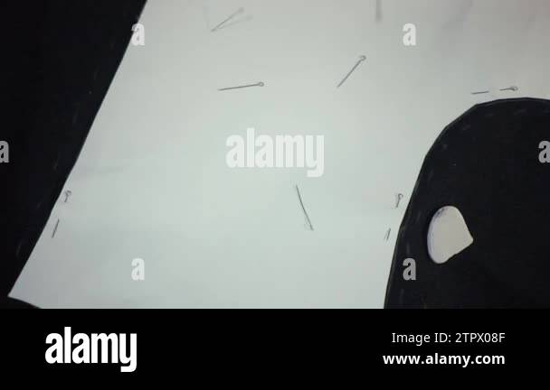 Needles fall Stock Videos & Footage - HD and 4K Video Clips - Alamy