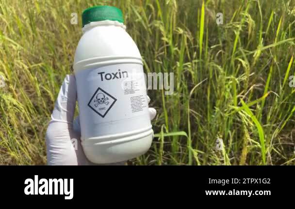 The toxic symbol on chemical container and nature background, Hazardous ...