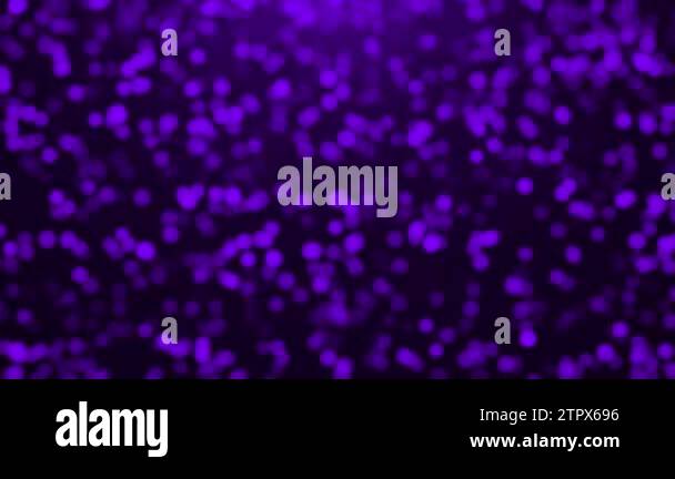 Animated Beautiful Purple glitter particles falling and flickering ...