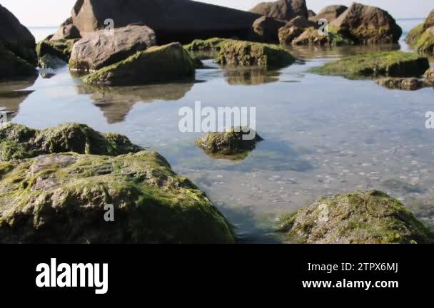 rocky shore, ocean coast, clean water Stock Video Footage - Alamy