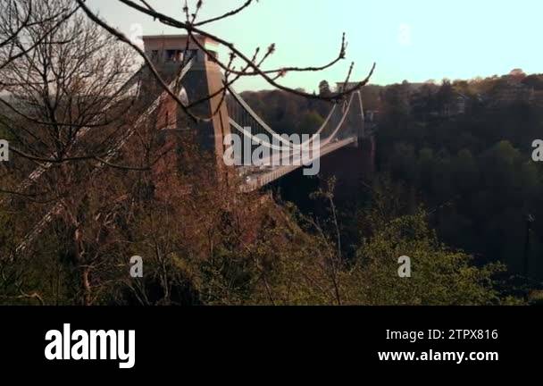 From behind tree Stock Videos & Footage - HD and 4K Video Clips - Alamy