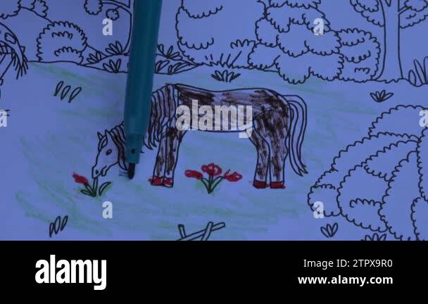 Coloring book page for children Stock Videos & Footage - HD and 4K ...