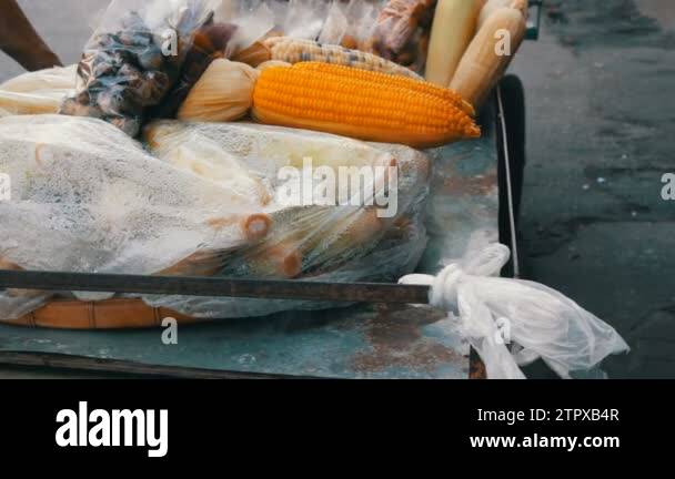 Counter with freshly boiled young corn from which comes the steam ...
