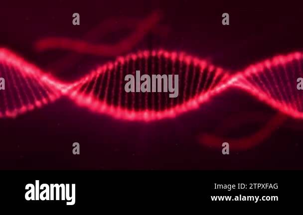 Seamless animation rotation particle molecule of a living genetic DNA ...