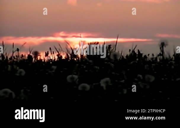 Retro VHS footage, Scan from vintage VHS-C Betacam. Retro camera 8 mm ...