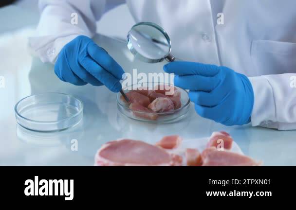Meat germs Stock Videos & Footage - HD and 4K Video Clips - Alamy