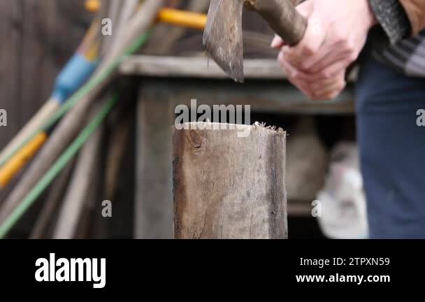 Lumberjack chopping firewood using axe, logs splitting. splitting wood ...