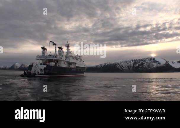 Snow swim Stock Videos & Footage - HD and 4K Video Clips - Alamy