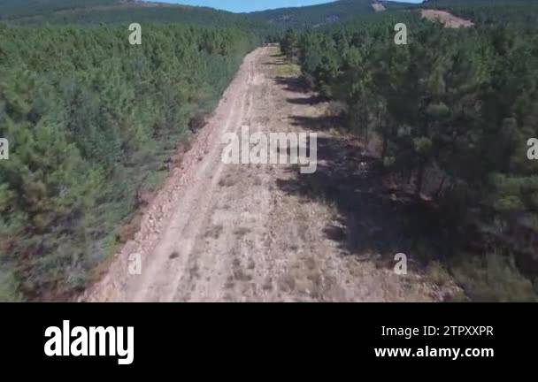 Firebreak forest Stock Videos & Footage - HD and 4K Video Clips - Alamy