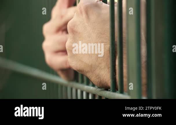 Cage man bars Stock Videos & Footage - HD and 4K Video Clips - Alamy