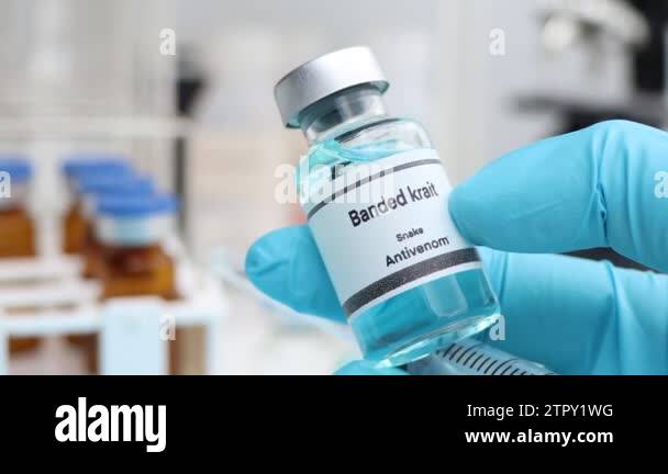 Banded krait, Snake antivenoms in a vial, Serum for injection to ...