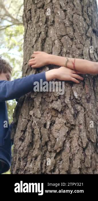 Happy children hugging a tree with his hands. Forest environment ...