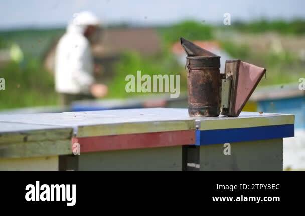 Smoker stands on a beehive. Bee chimney on background of beehives ...