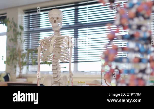Educational models Stock Videos & Footage - HD and 4K Video Clips - Alamy