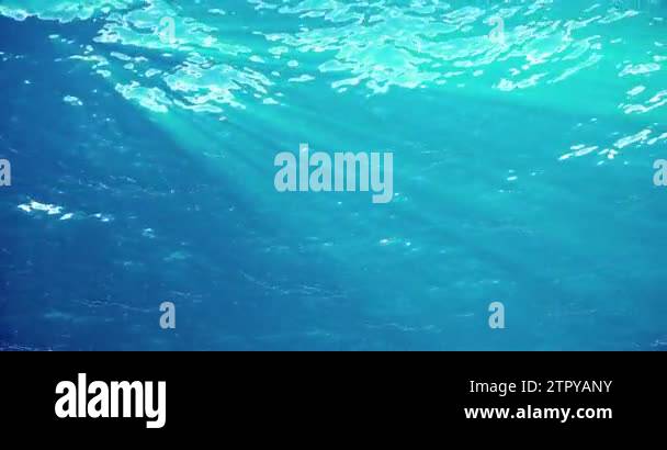 High quality animation of ocean waves from underwater with floating ...
