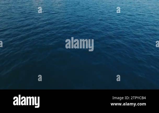 Aerial Wide Shot POV View of Birds Flying Over the Waves in the ... Aerial Wide Shot POV View of Birds Flying Over the Waves in the ...